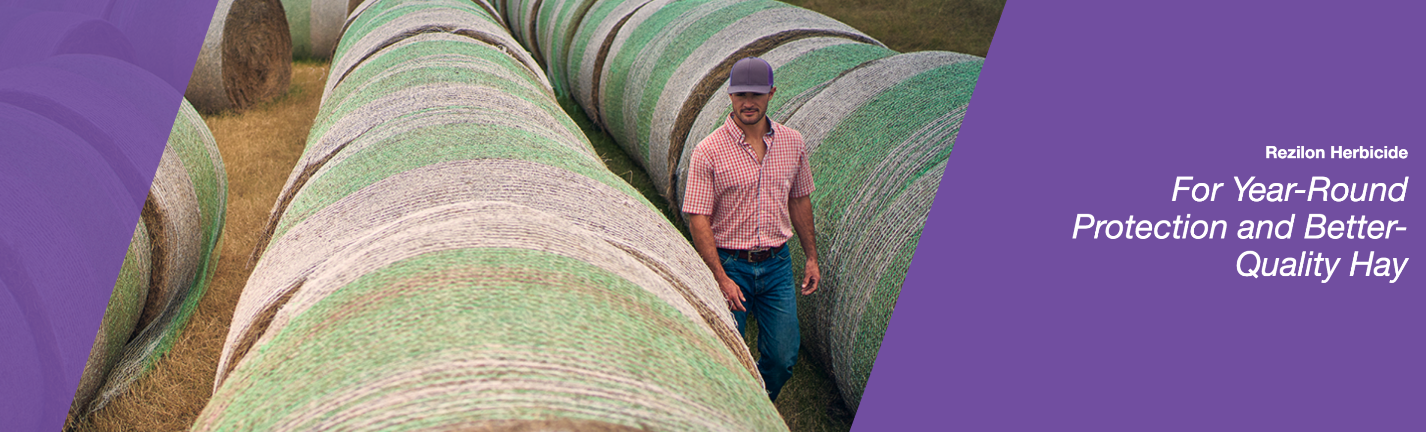 Unlock the Secret to Stronger Hay and an Unmatched Reputation with ...