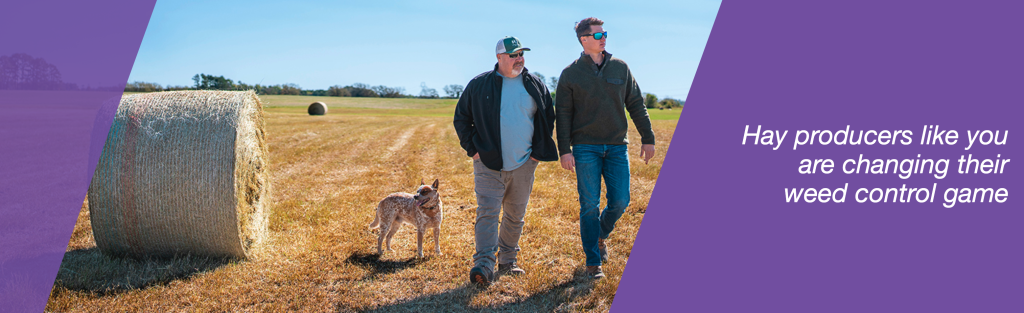 Rezilon® | Azelis A&ES