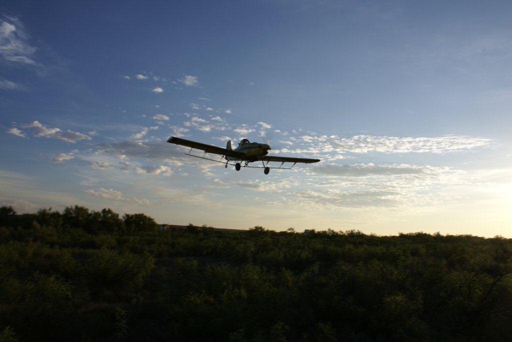 Revolutionizing Invasive Brush Control: Tebuthiuron’s Evolution with ...