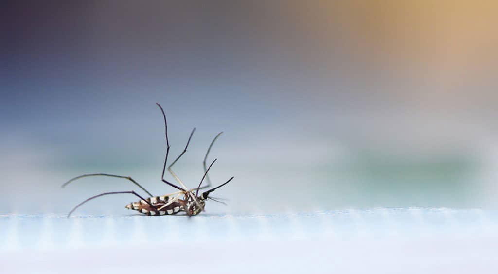 PermaSease® by ADAPCO – 6 New Flexible Permethrin Formulations | Azelis ...